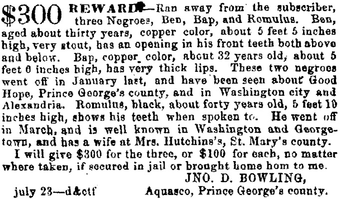 HIST099 Capstone: A Closer Look at Runaway Advertisements