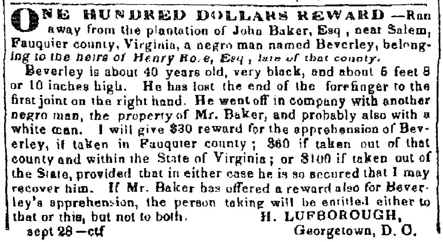 HIST099 Capstone: A Closer Look at Runaway Advertisements